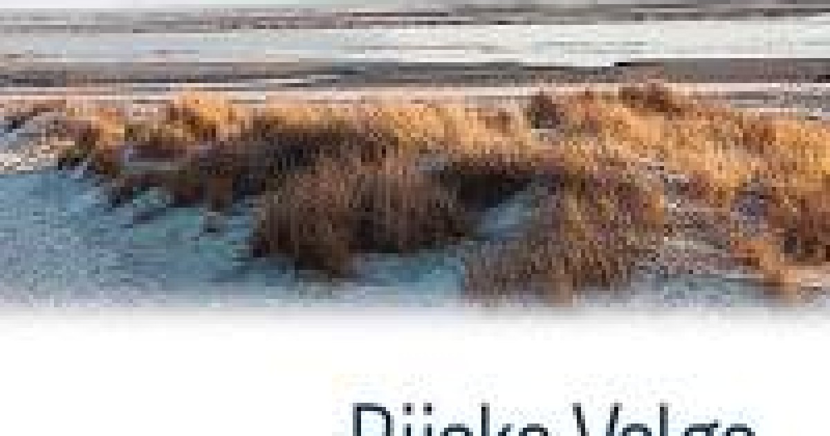 Rijeka Volga ulijeva se u Kaspijsko more