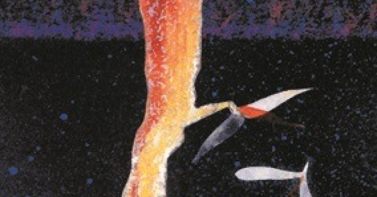 Pod stablom frangipanija