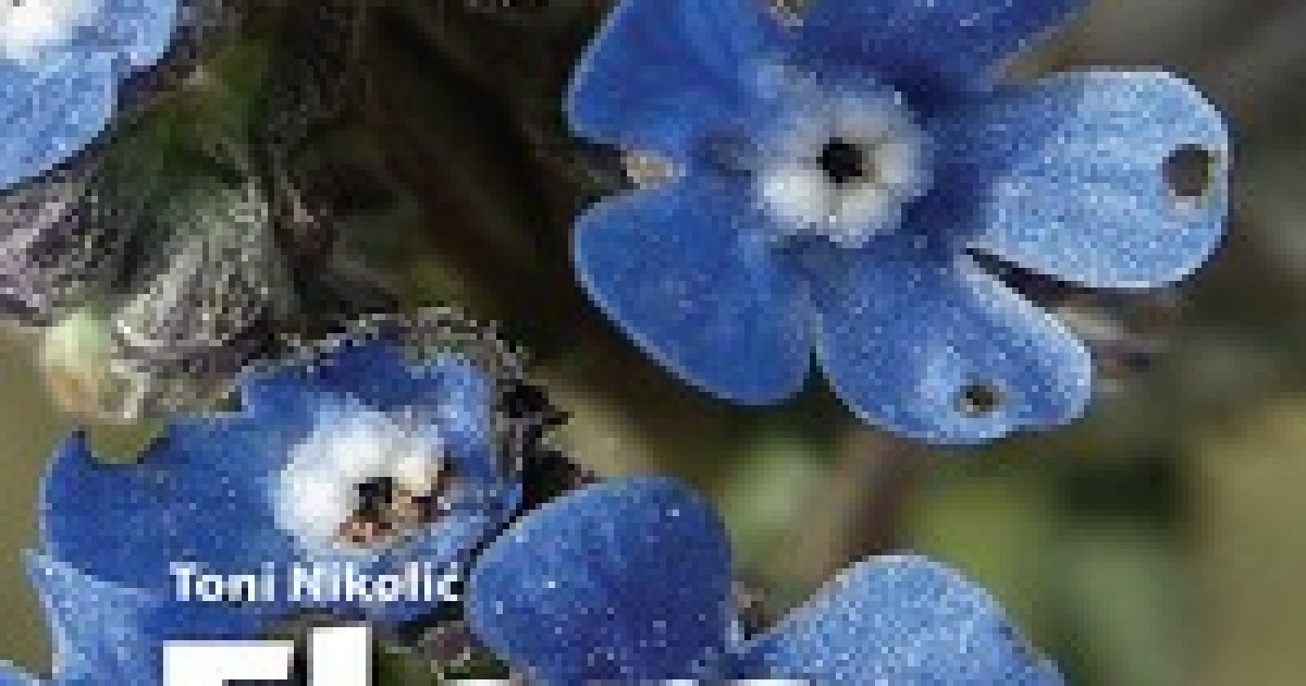 FLORA CROATICA Vaskularna flora Republike Hrvatske 4