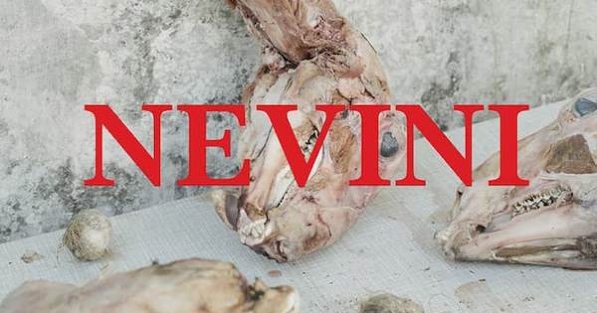 Nevini