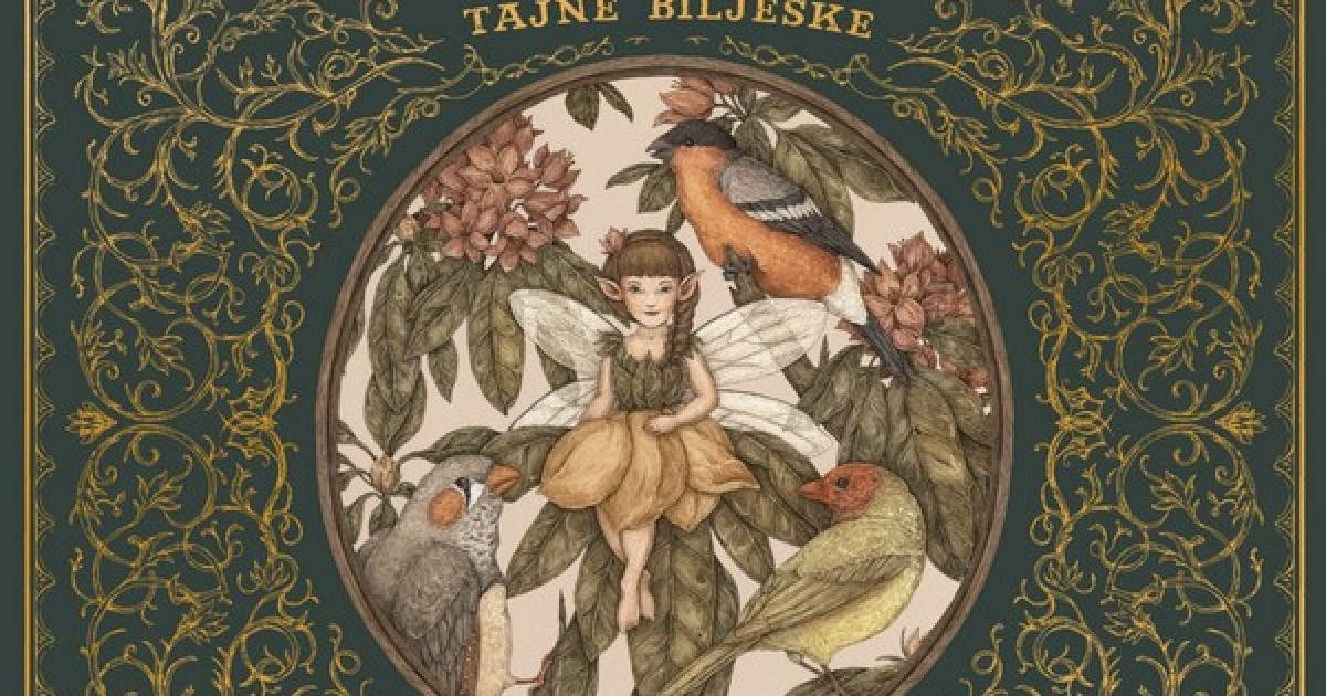 Vile – tajne bilješke