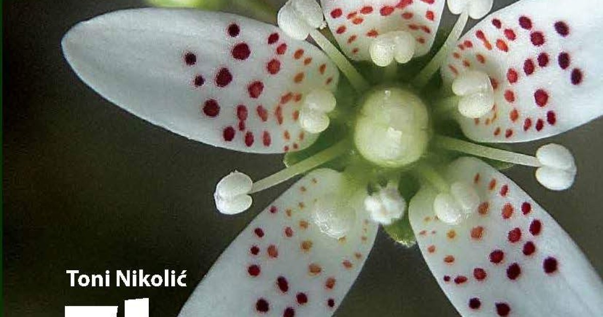 FLORA CROATICA Vaskularna flora Republike Hrvatske 3